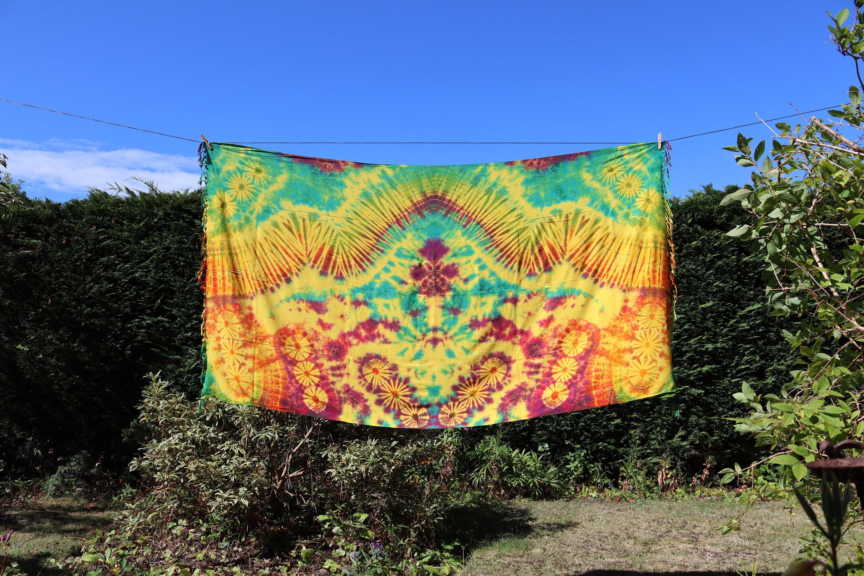 Collections – Bare Canvas